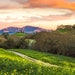Mount Diablo, California Landscape Photography, Mt. Diablo, East Bay ...