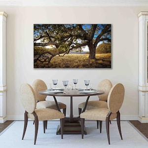 Large Panorama Tree Print, California Landscape Photo, Bay Area Wall ...