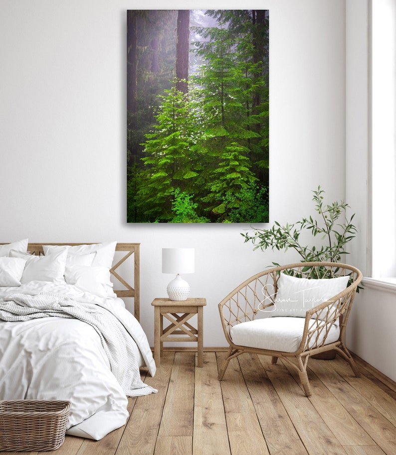 Large Oregon Forest Print, Dreamy Misty Trees, Relaxing Dogwood Flower ...