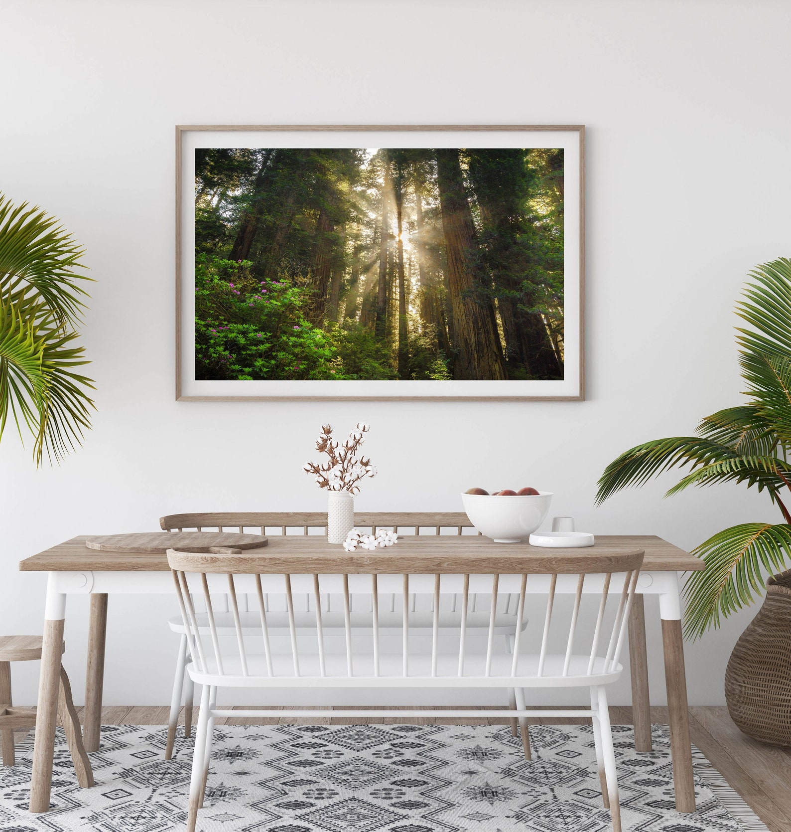 Redwood Forest Print, Large Nature Canvas, Magical Redwood Tree Photo ...