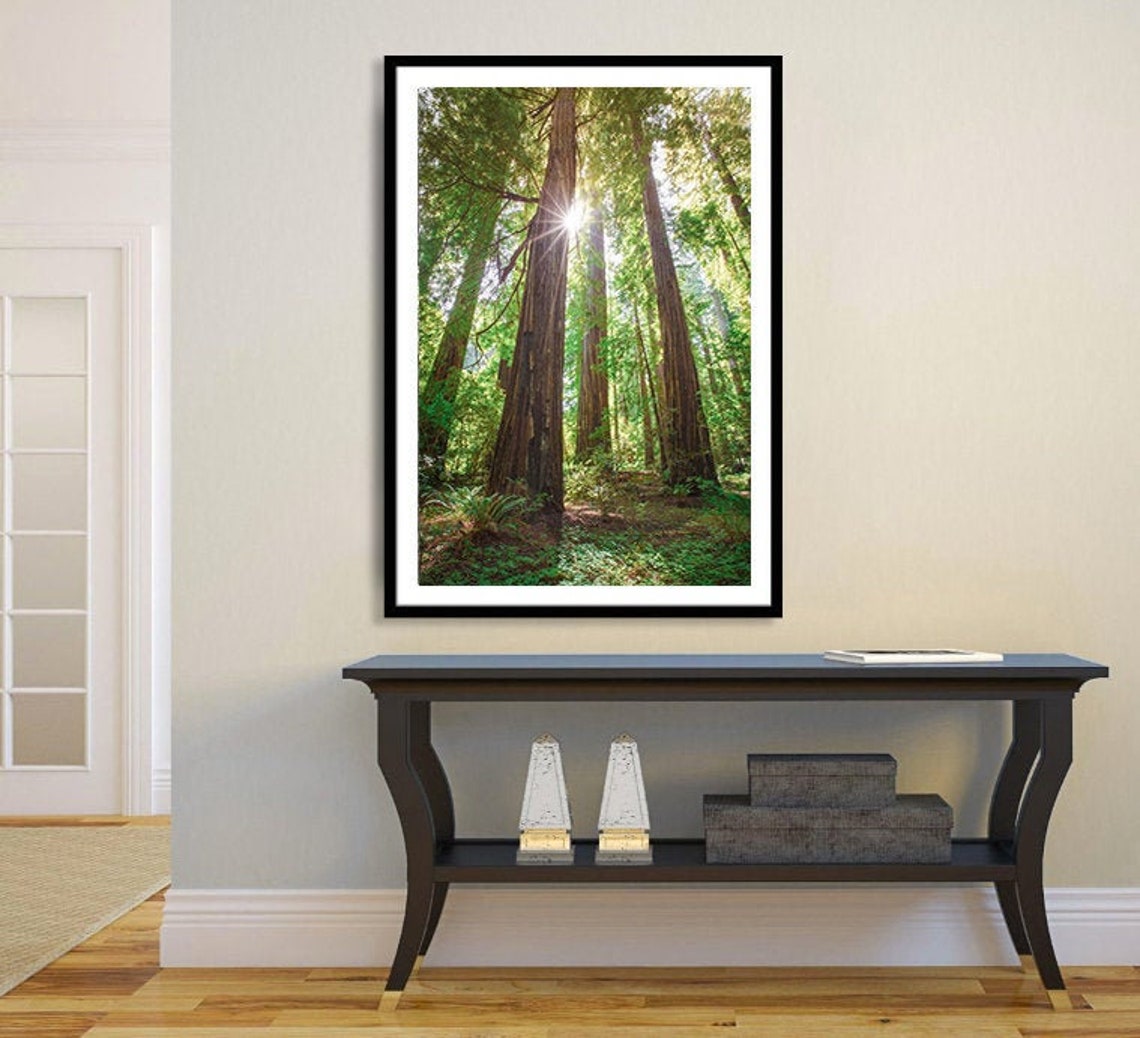 California Redwood Print Large Coastal Tree Canvas Art - Etsy