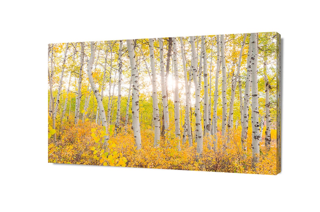 Autumn Print Utah Peaceful Canvas Oversized Landscape Fall - Etsy
