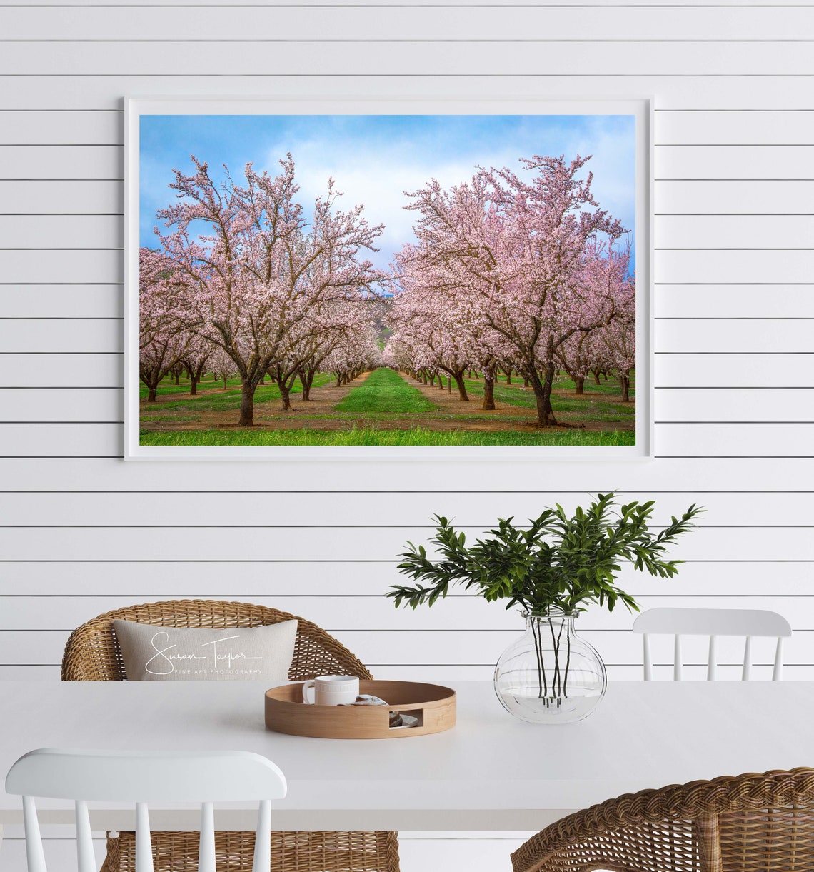Tree Photography Large Nature Canvas Tree Blossom Print | Etsy