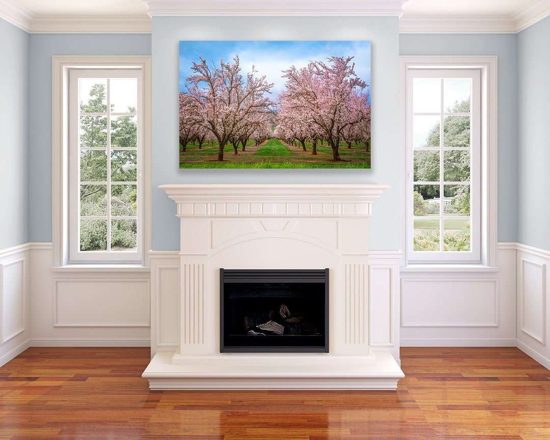 Tree Photography, Large Nature Canvas, Tree Blossom Print, Rustic Art ...