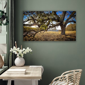 Large Panorama Tree Print, California Landscape Photo, Bay Area Wall ...