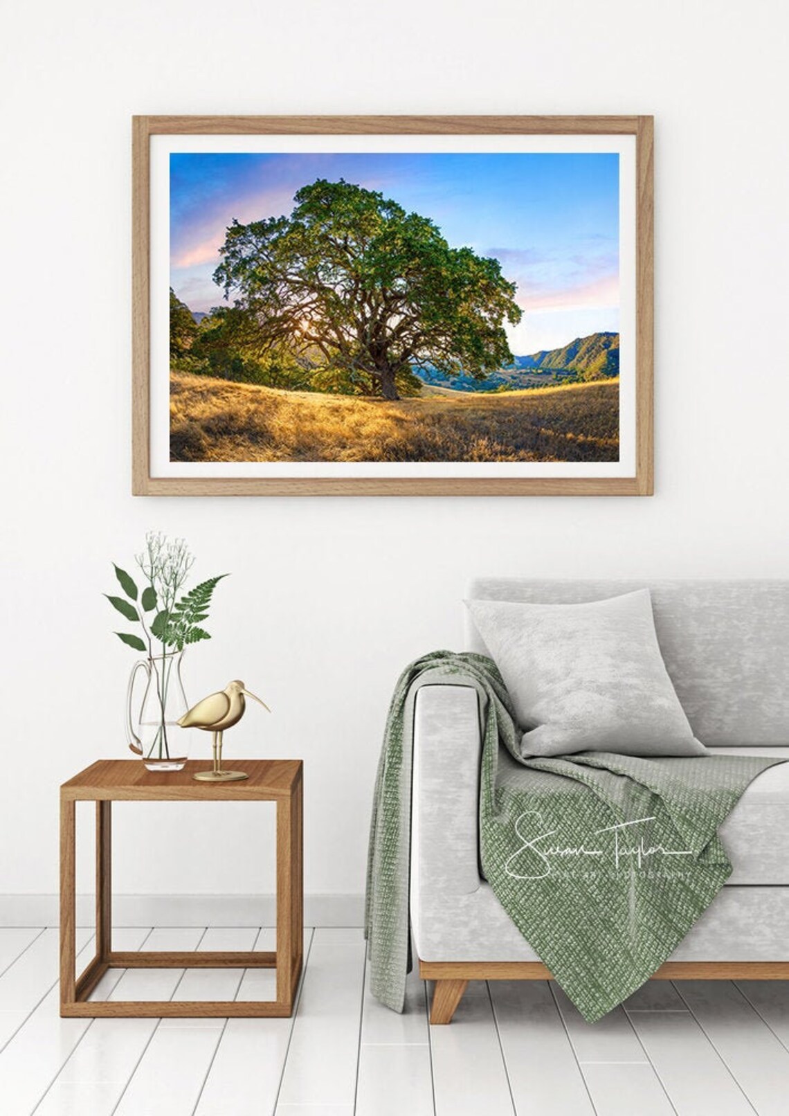 Mt. Diablo State Park Print Bay Area Wall Decor Tree Swing | Etsy