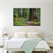 Redwood Tree Metal Print, Forest Metal Picture, Fine Art Metal Print ...