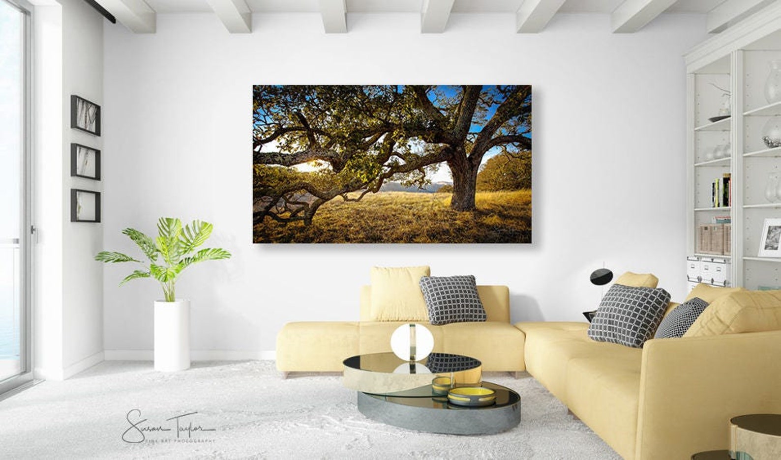 Large Panorama Tree Print California Landscape Photo Bay - Etsy