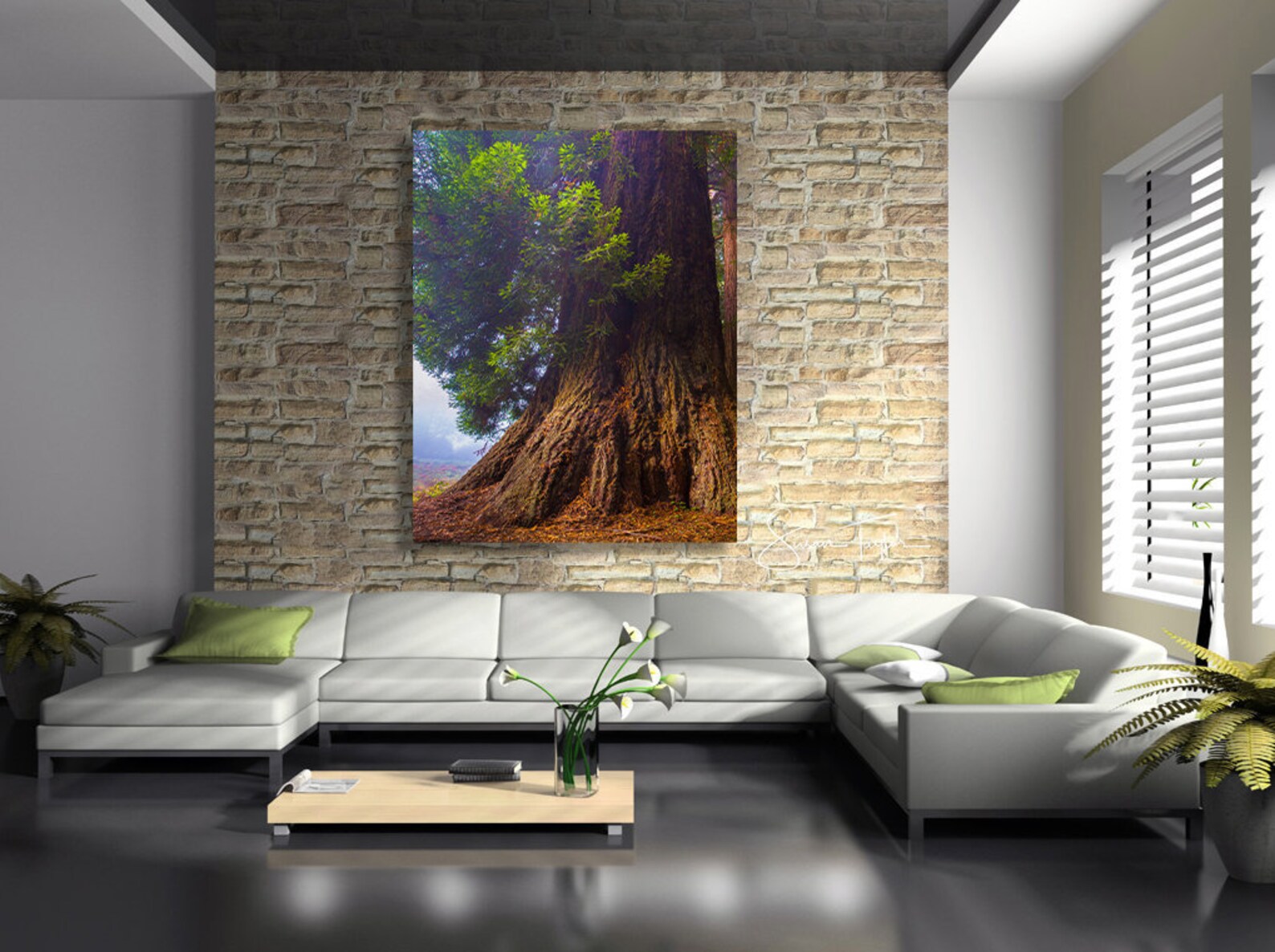 Redwood Photography Oversized Tree Canvas Giant Coast | Etsy