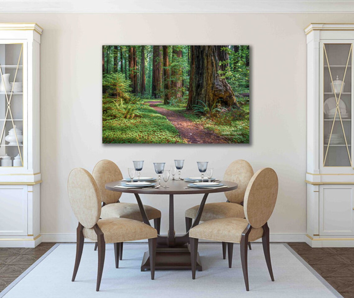 Redwood Tree Metal Print, Forest Metal Picture, Fine Art Metal Print ...