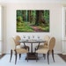 Redwood Tree Metal Print, Forest Metal Picture, Fine Art Metal Print ...