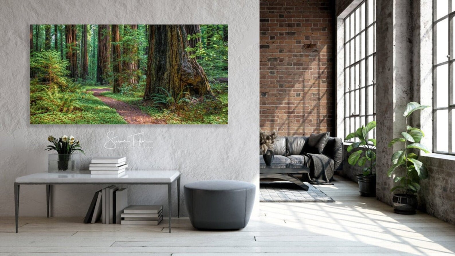 Redwood Tree Metal Print, Forest Metal Picture, Fine Art Metal Print ...