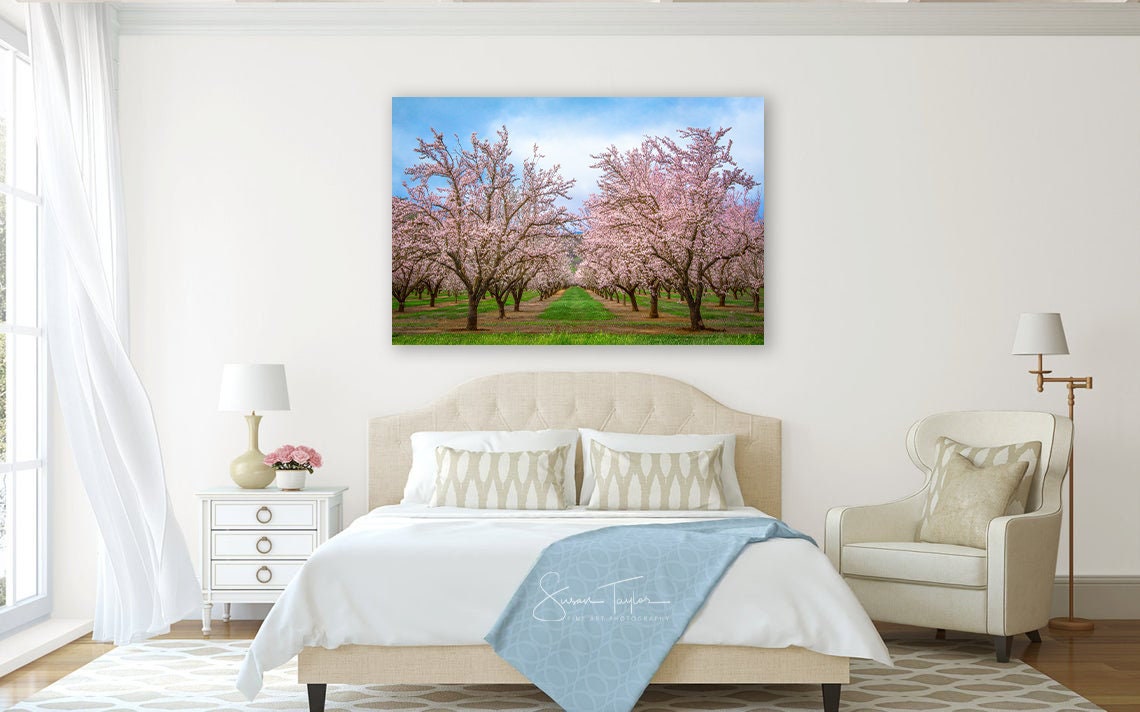 Tree Photography Large Nature Canvas Tree Blossom Print | Etsy