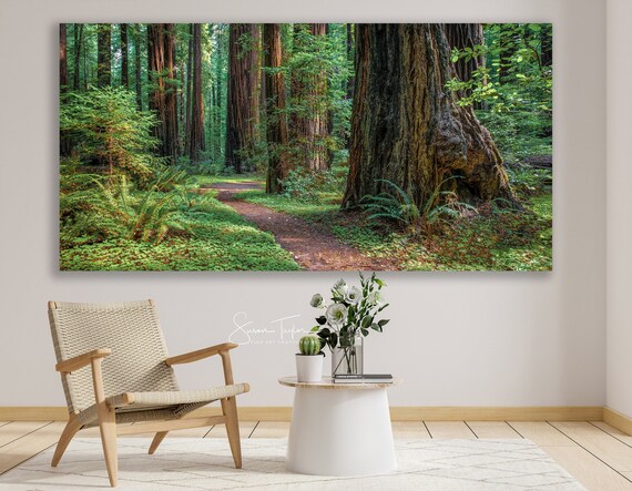California Redwood Decor Oversized Sequoia Canvas Redwood - Etsy