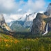 Large Yosemite Canvas Art, Yosemite National Park, Mountain Tree Decor ...