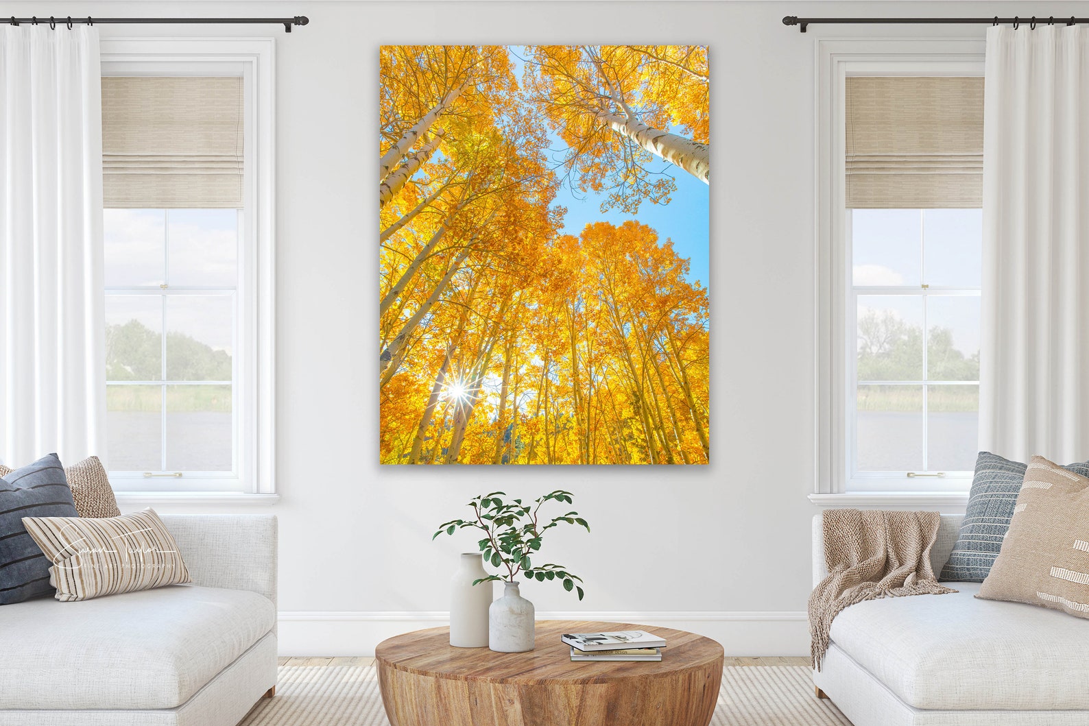Large Aspen Forest Print, Golden Aspen Canopy Photo, Fall Foliage ...
