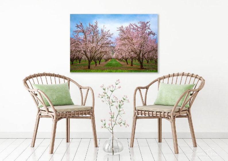 Tree Photography Large Nature Canvas Tree Blossom Print | Etsy