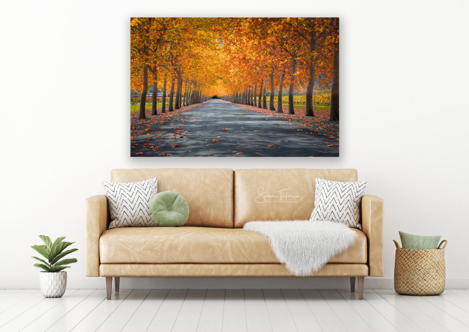 Autumn Tree Canopy Photo, California Wine Country Home Decor, Golden ...