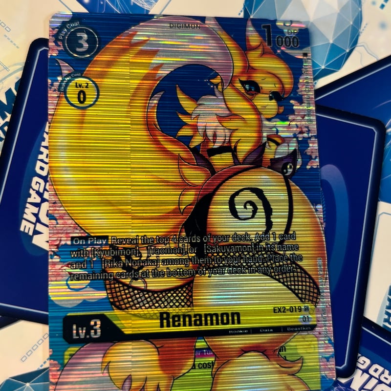 Comic How 2 Hide Your Renamon Completo - Etsy Canada