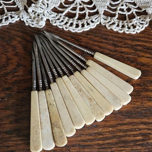 Antique Bone Nut Picks, 12 Vintage Bone Nutpicks and 5 Steel Nut Picks ...