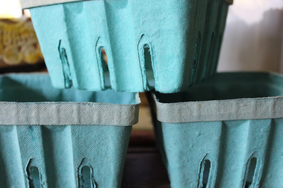 Set of 9 Blue Berry Baskets New Quart Baskets Fiber Berry | Etsy