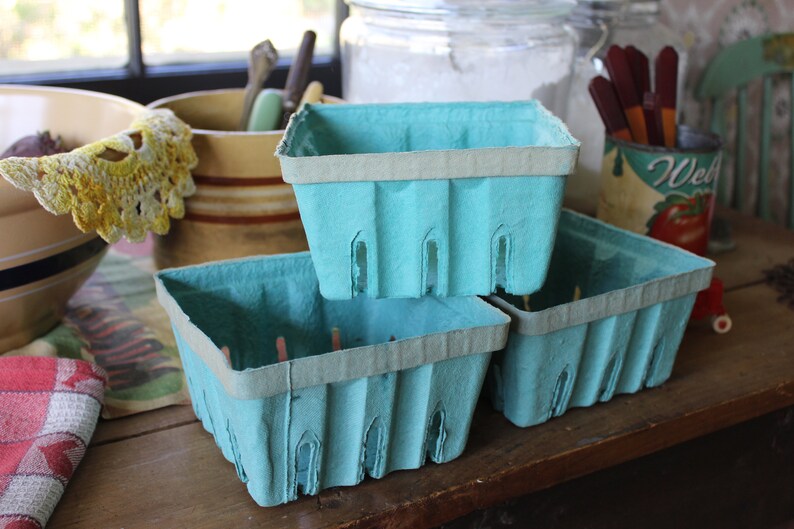 Set of 9 Blue Berry Baskets New Quart Baskets Fiber Berry | Etsy