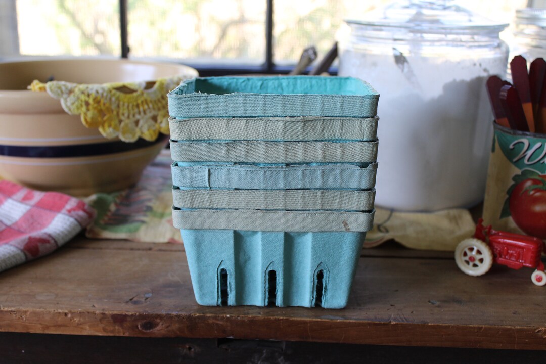 Set of 9 Blue Berry Baskets, New Quart Baskets, Fiber Berry Baskets ...