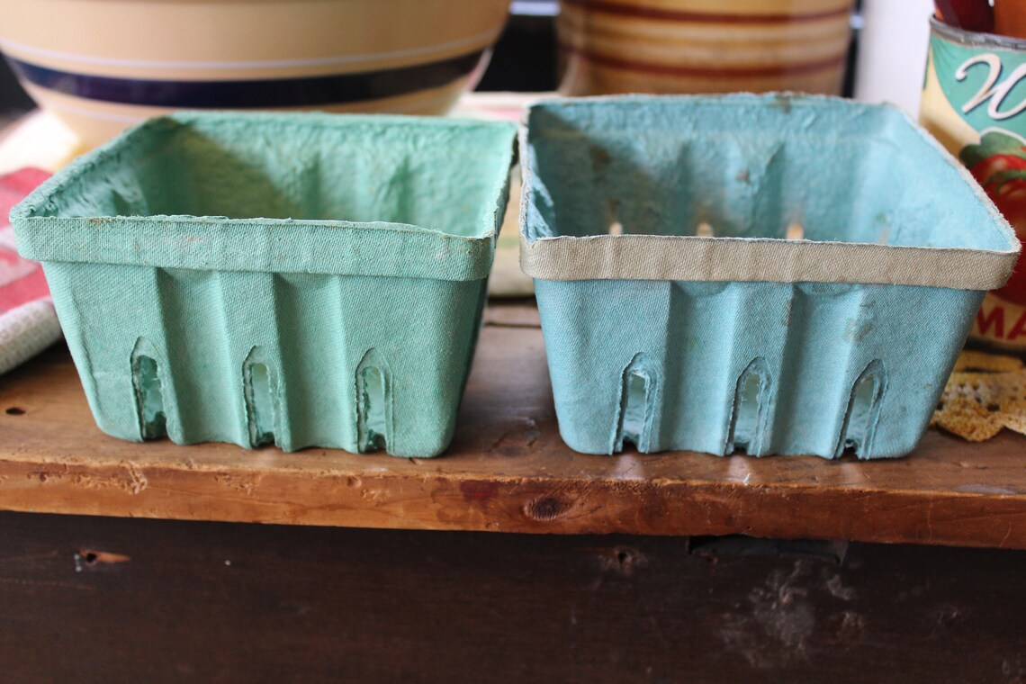 Set of 9 Blue Berry Baskets New Quart Baskets Fiber Berry | Etsy