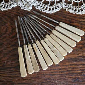 Antique Bone Nut Picks, 12 Vintage Bone Nutpicks and 5 Steel Nut Picks ...