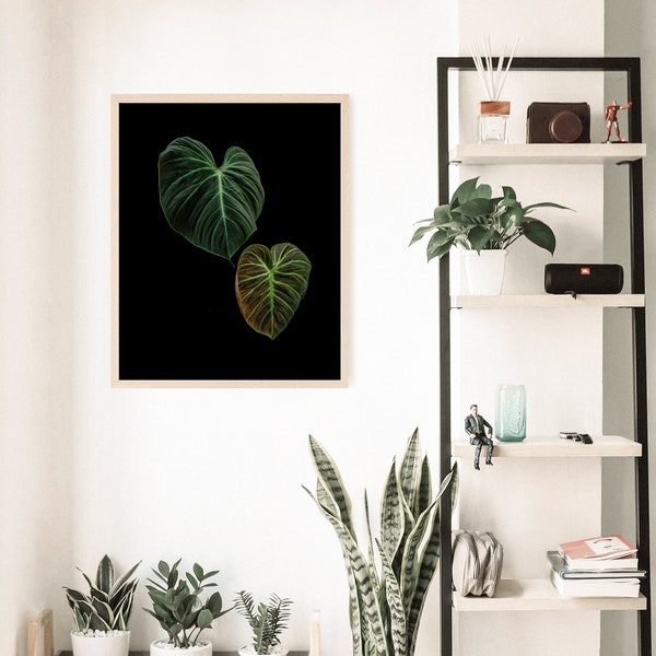 Philodendron Wall - Etsy