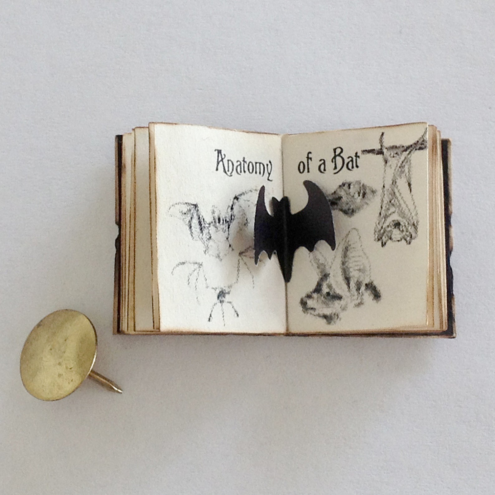 Miniature 'aged' Magic & Spell Book with Printed - Etsy