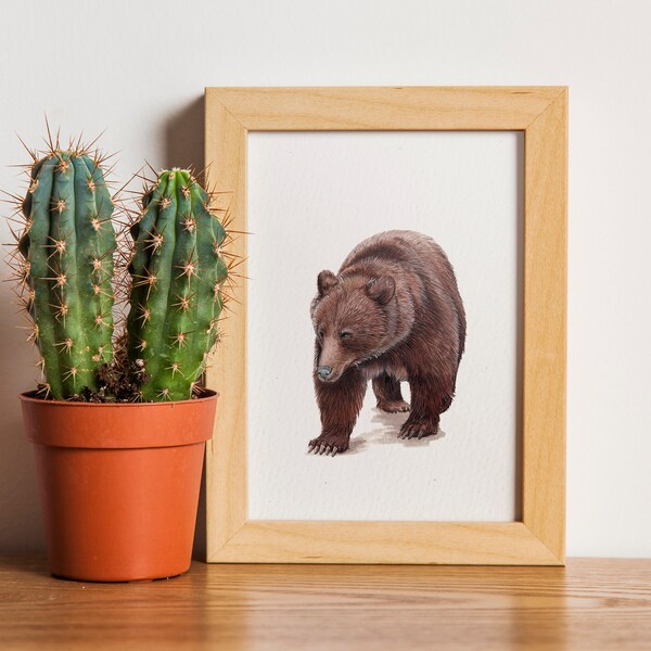 Bear Ink Drawing - Etsy UK