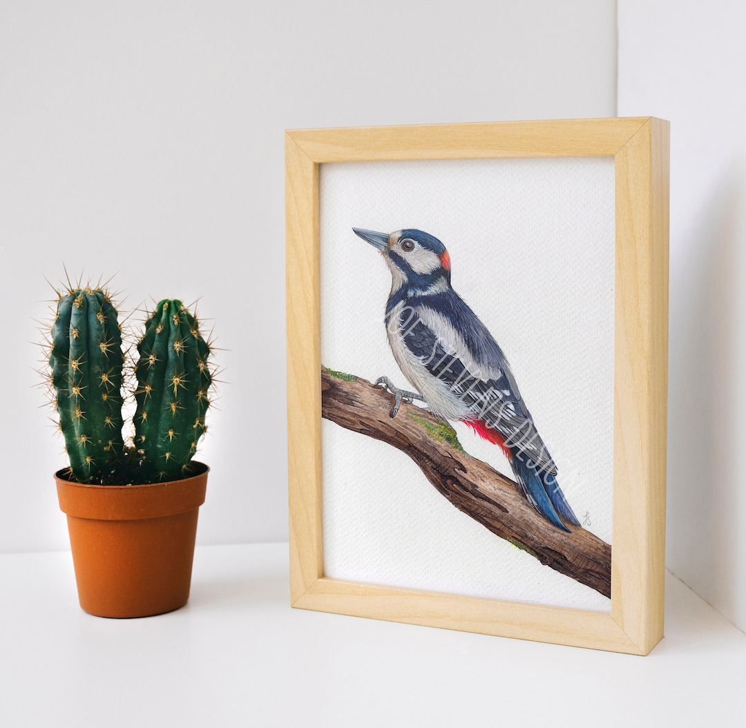 Great Spotted Woodpecker Bird Original Painting - A5 Watercolour ...