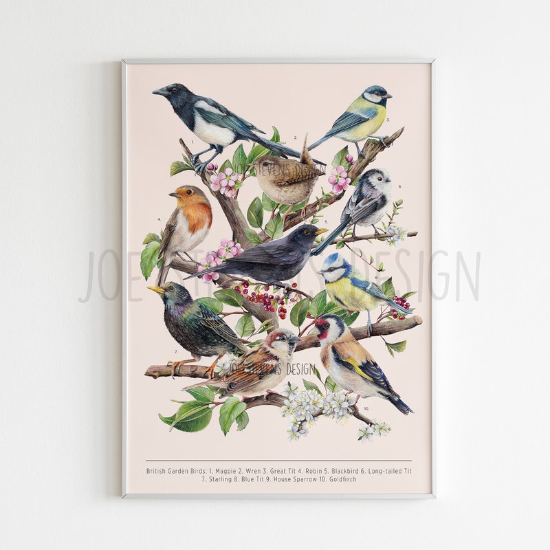 British Birds Poster - Etsy UK