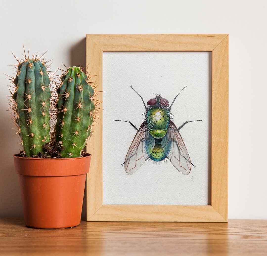 Fly Original Painting - A5 Watercolour Painting on Watercolour Paper ...
