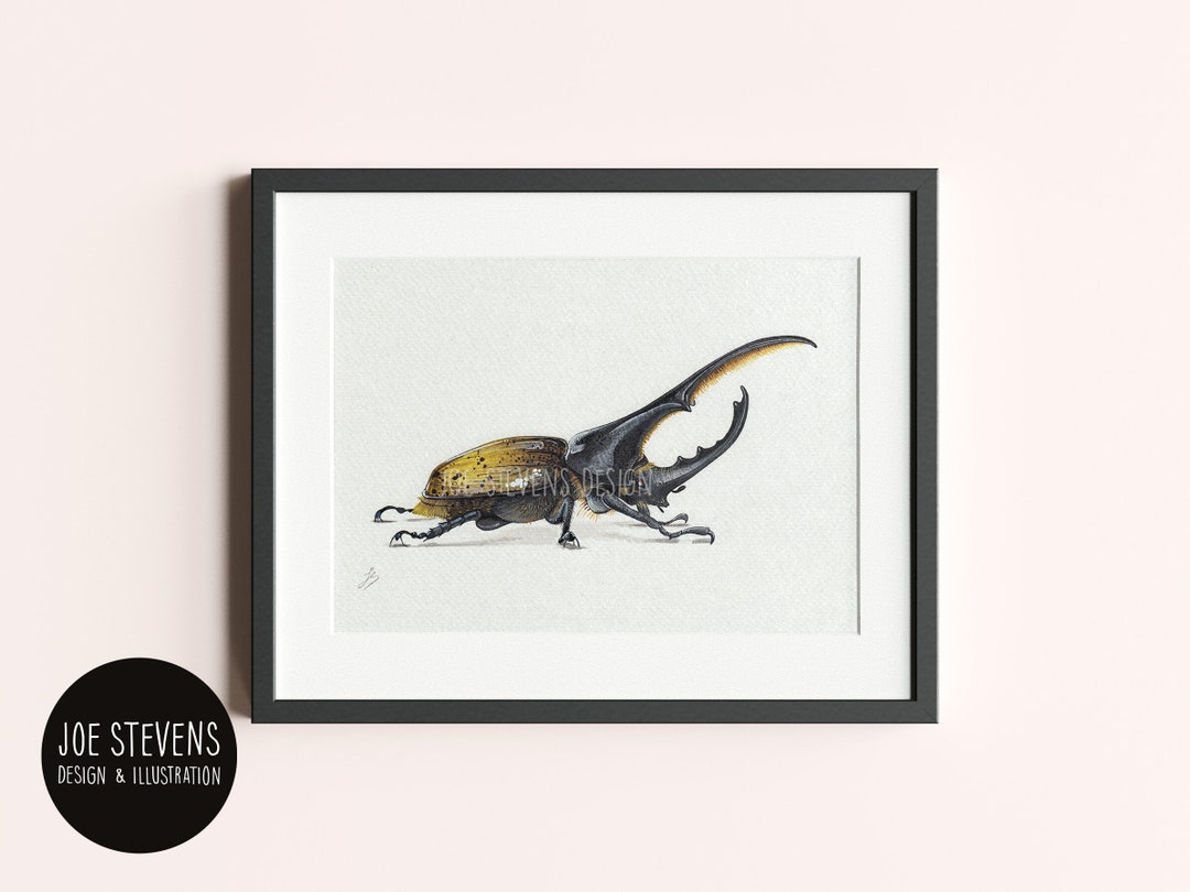 Hercules Beetle Original Painting A5 Acrylic Painting on Watercolour ...