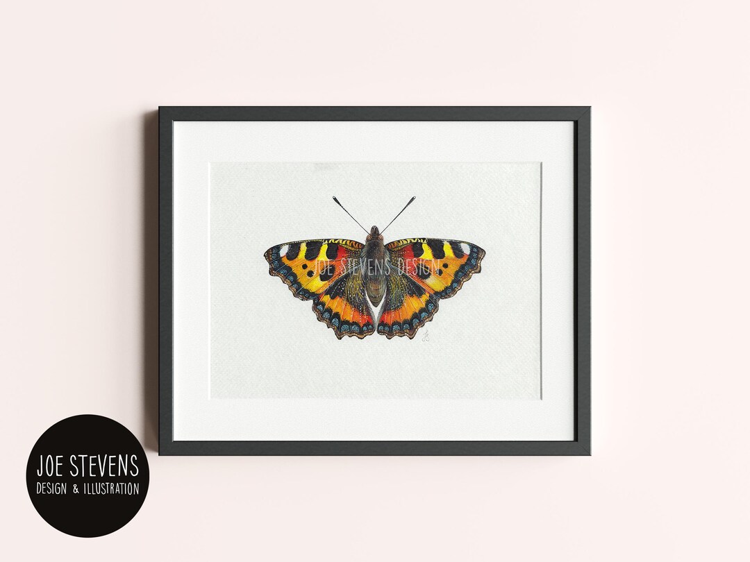 Small Tortoiseshell Butterfly Painting - A5 Hand Painted Acrylic and ...