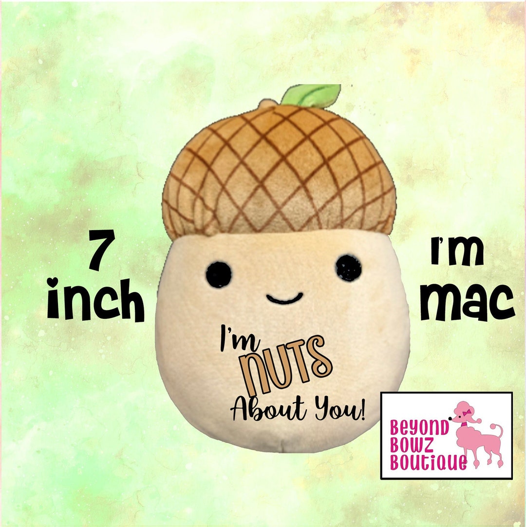 Custom Acorn Squishmallow Plush: Personalized Nursery Toy, Birthday ...