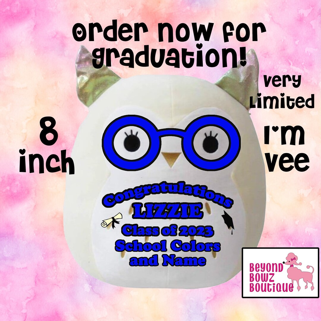 Customized Squishmallows GRADUATION Plush OWL, Personalized Graduation ...