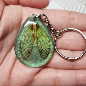 Cicada Wing Keychain - Etsy