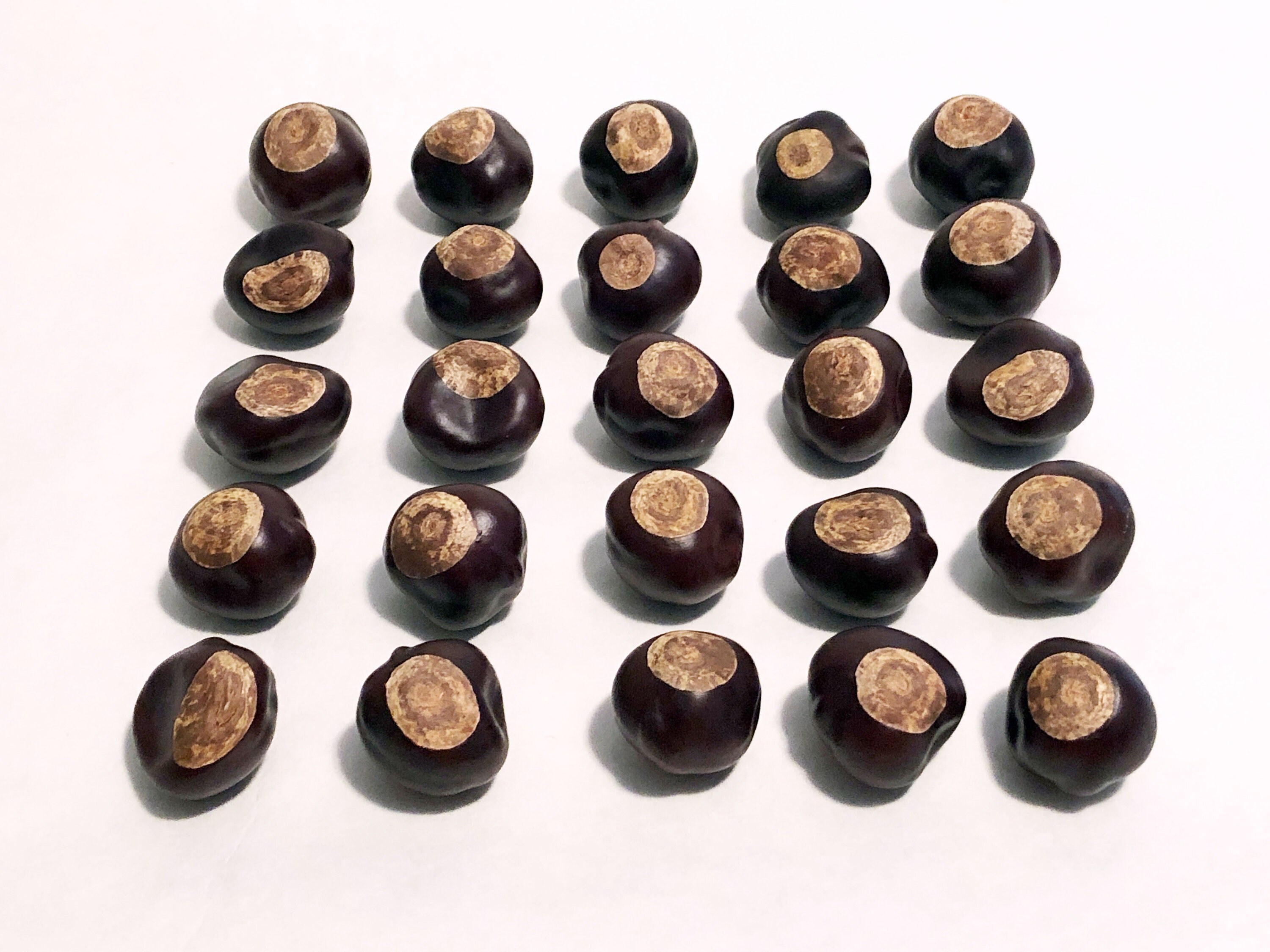 25 Quarter Size to Almost Fift-cent Piece Size Buckeye Nuts With ...