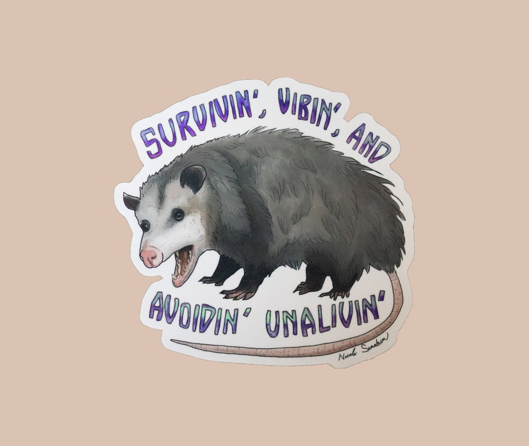 Possum Stickers, Holographic Vinyl Decal Art, Laptop Sticker, Water ...