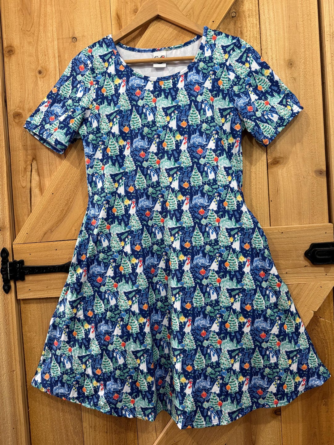 Winter Snowman Wizard School HP Hog Warts Dress Adult Size Universal ...