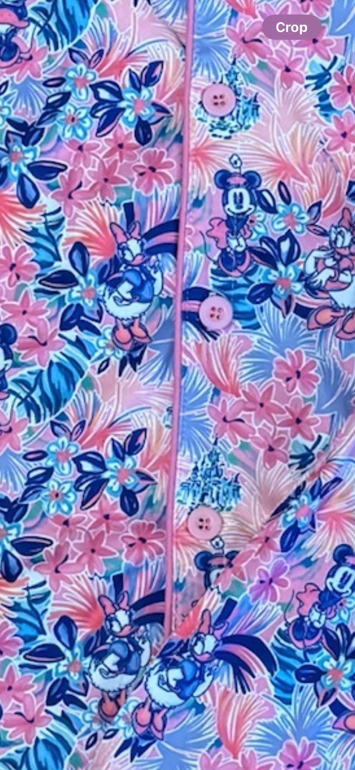 Disney Pajamas Minnie and Daisy Preppy Print. Long Shirts and Button up ...