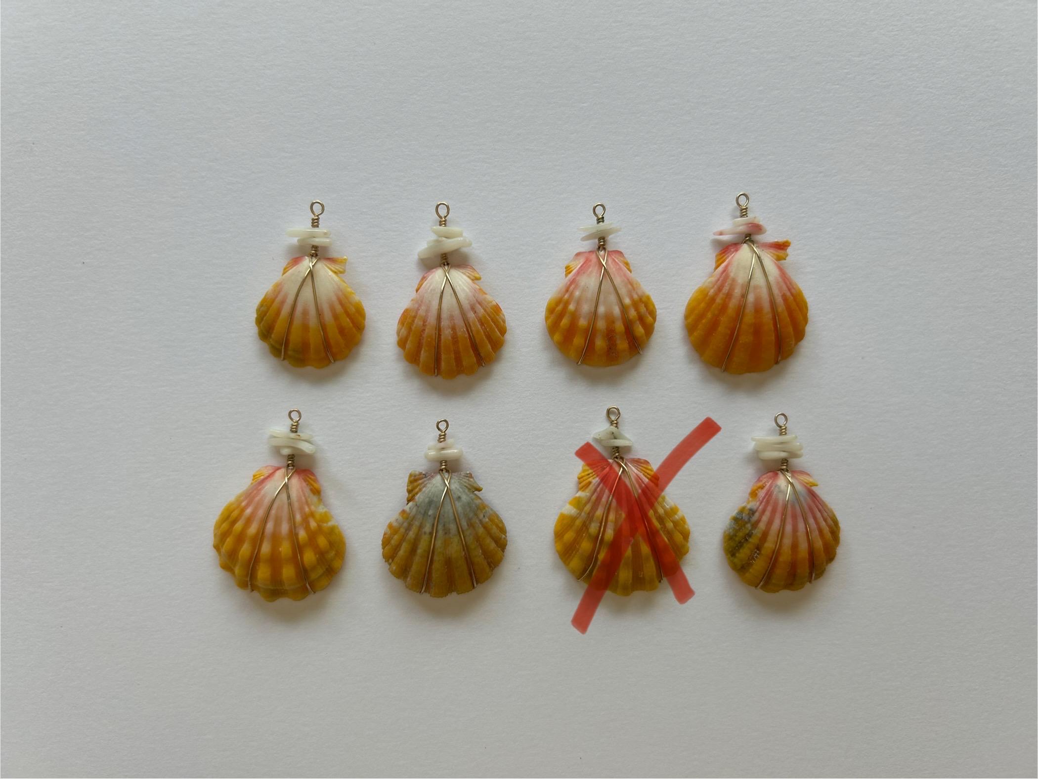 Sunrise Shell Necklace 14k Gold-filled - Etsy