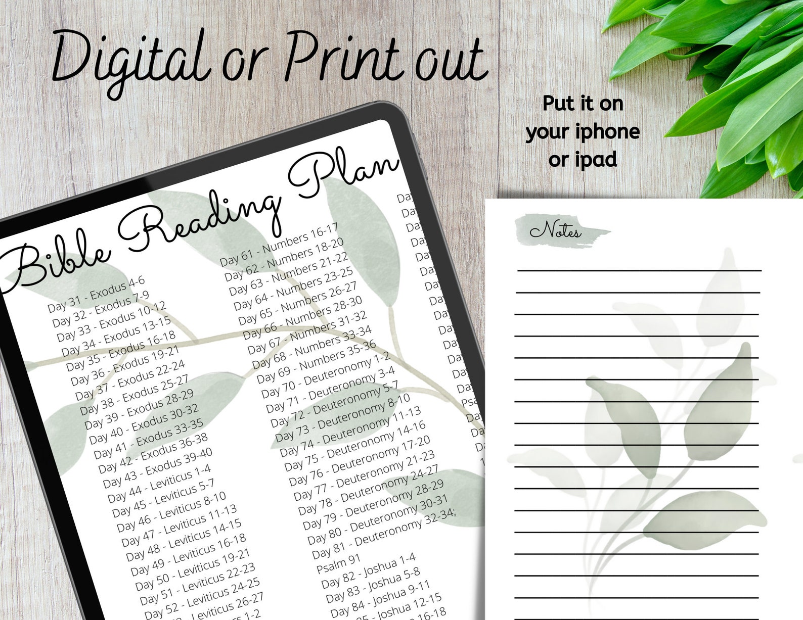 Bible Reading Plan Bookmark, Chronological Bible Plan for Students ...