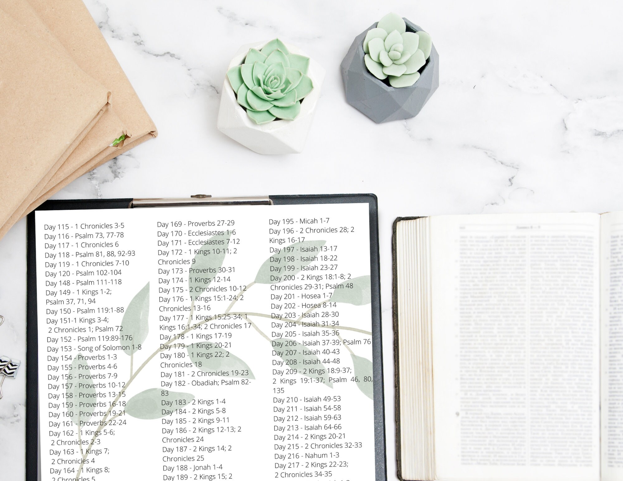 Bible Reading Plan Bookmark, Chronological Bible Plan for Students ...