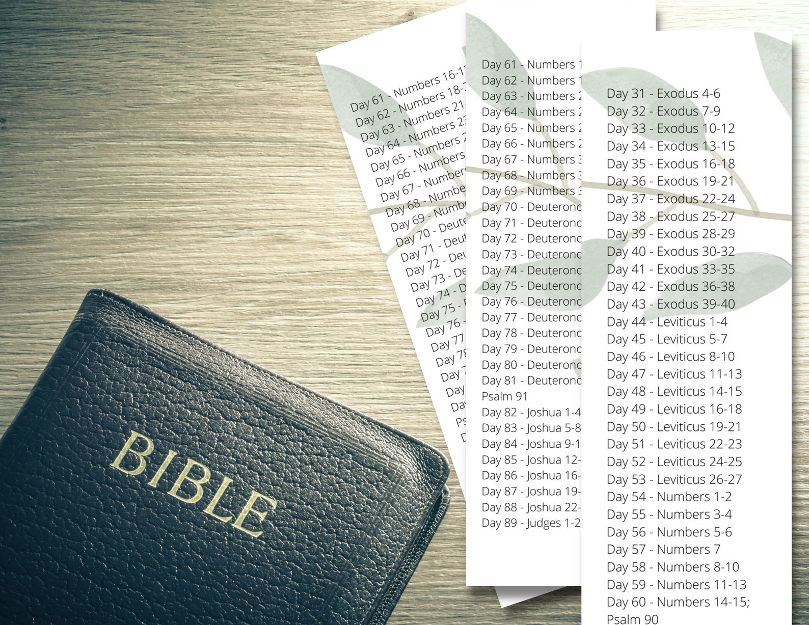 Bible Reading Plan Bookmark, Chronological Bible Plan for Students ...