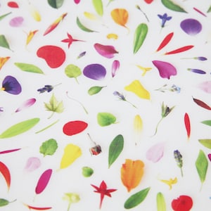 Flowers & Leaves Poster Print - Etsy