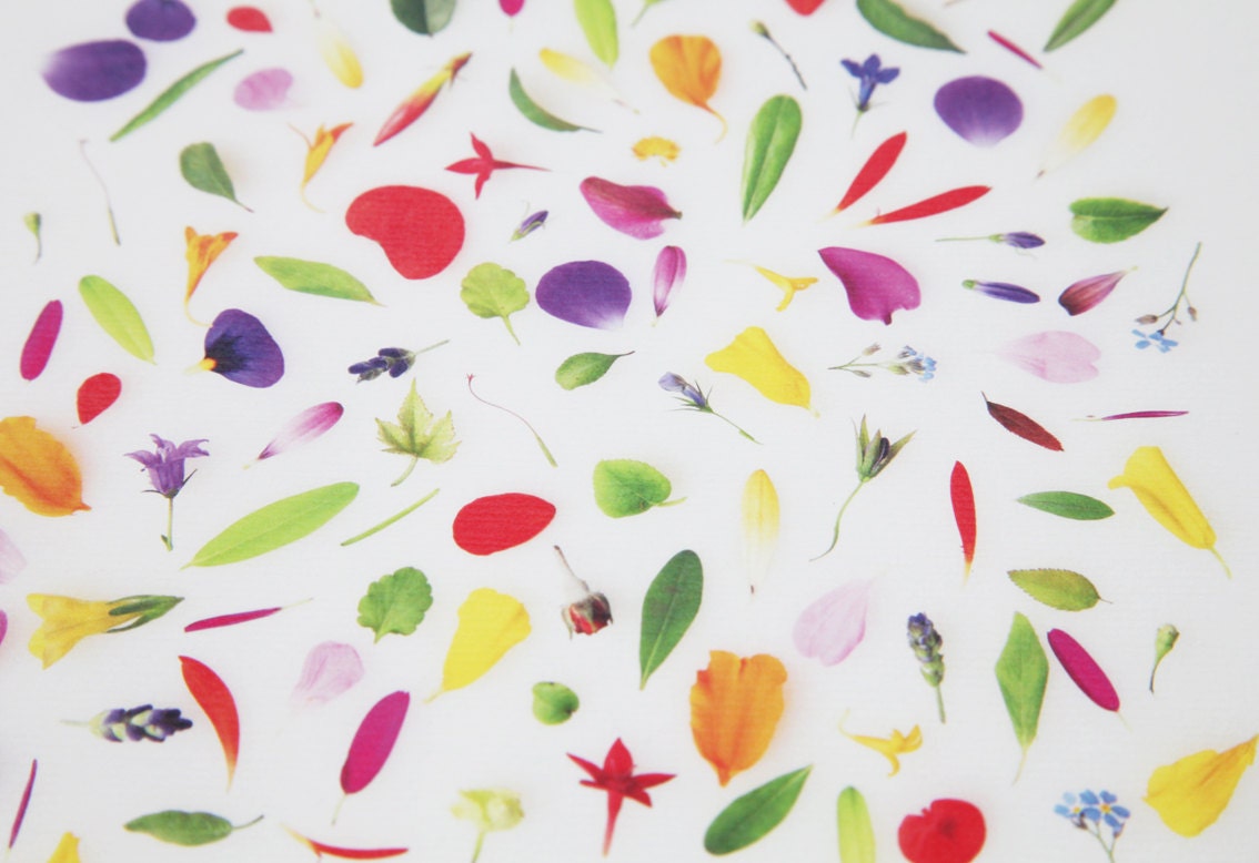 Flowers & Leaves Poster Print - Etsy